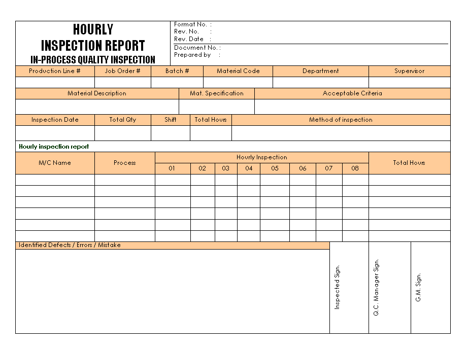 Hourly Inspection Report Format